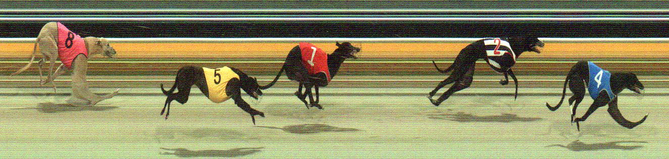 Results - Angle Park - Race 9