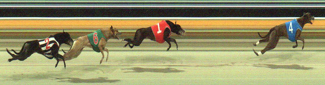 Results - Angle Park - Race 10