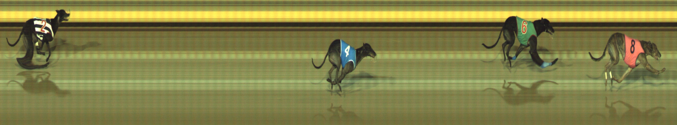 Results - Gawler - Race 9