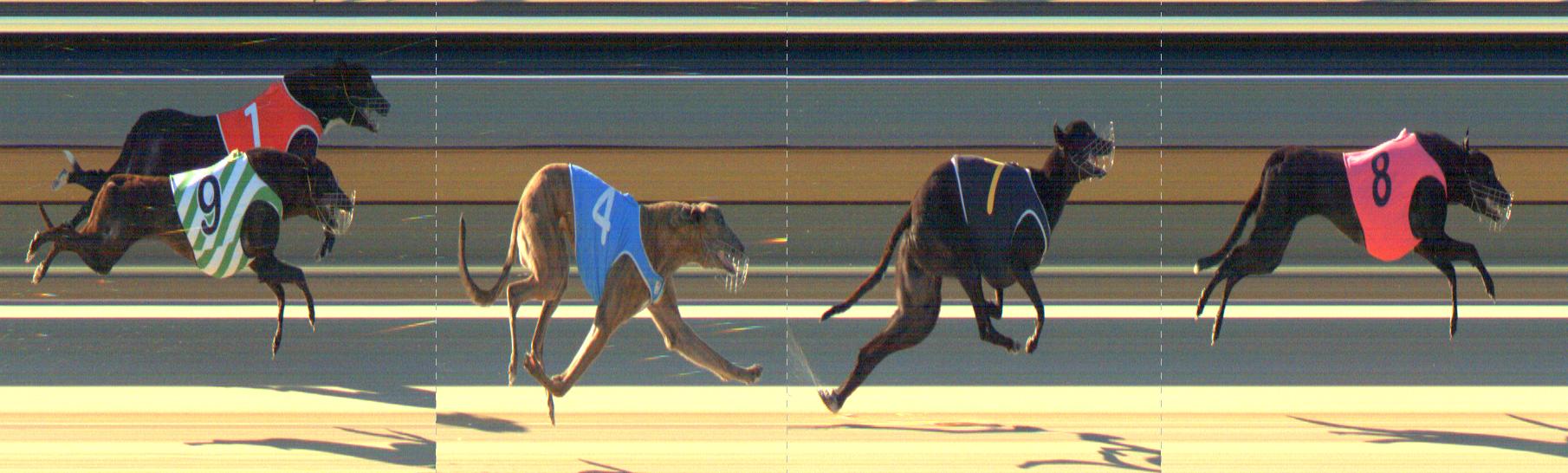 Results - Murray Bridge - Race 2