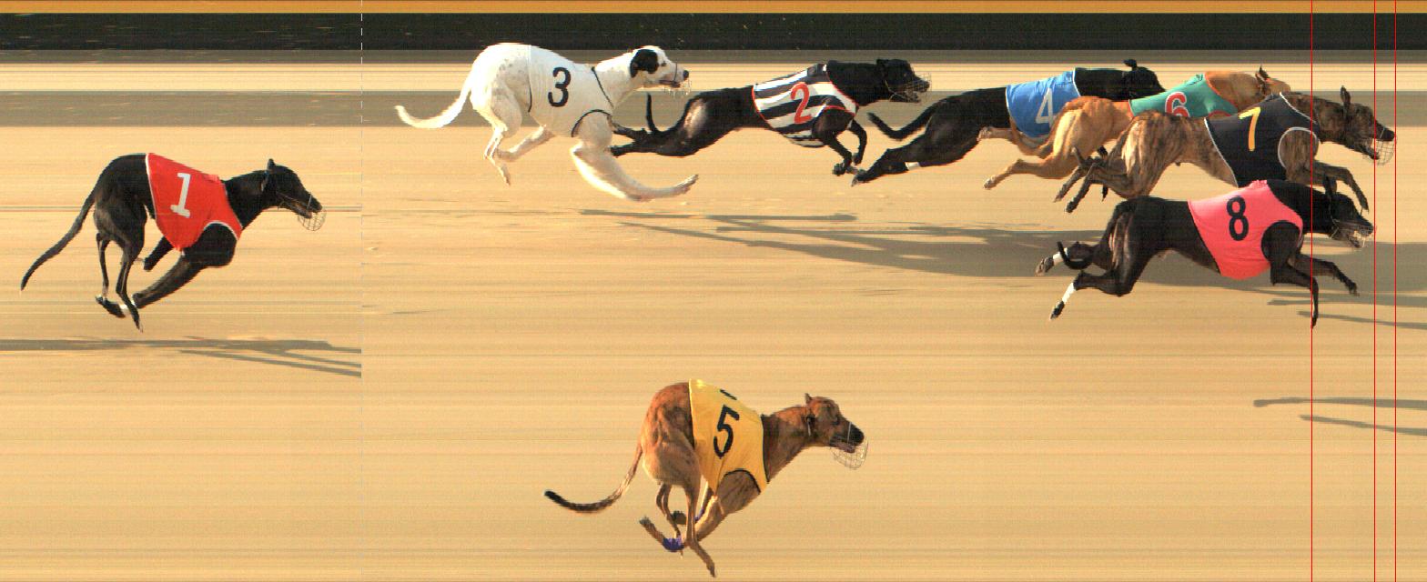 Results - Murray Bridge - Race 3